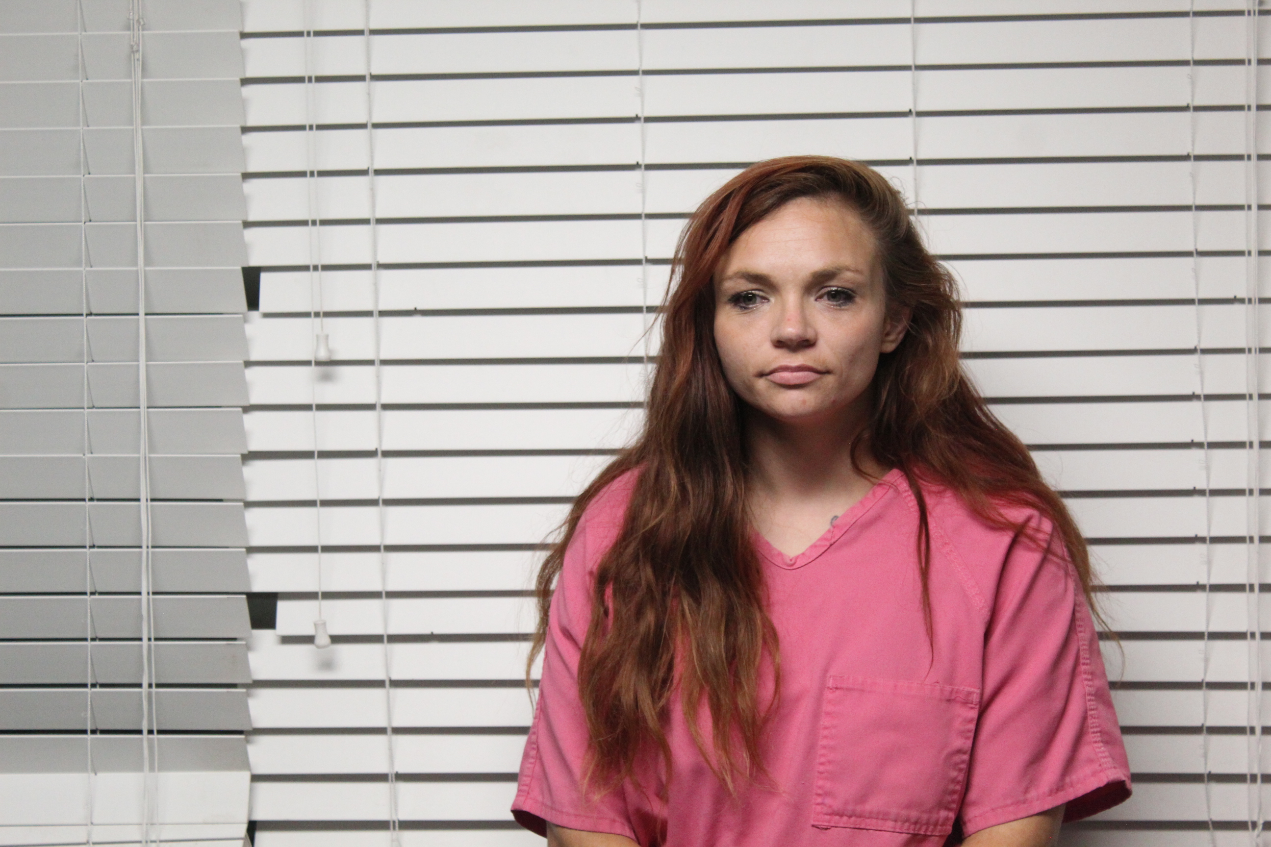 Christian County, MO Live Inmate List